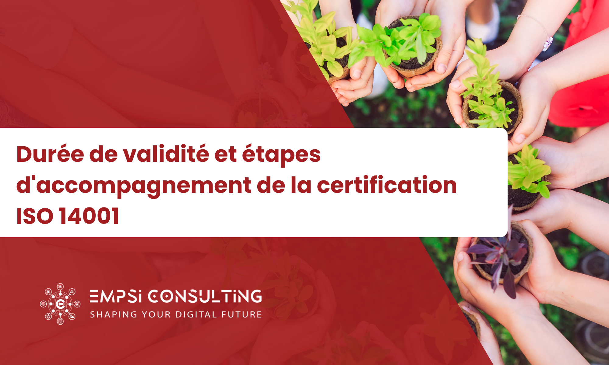 Les étapes d'accompagnement de la certification ISO 14001